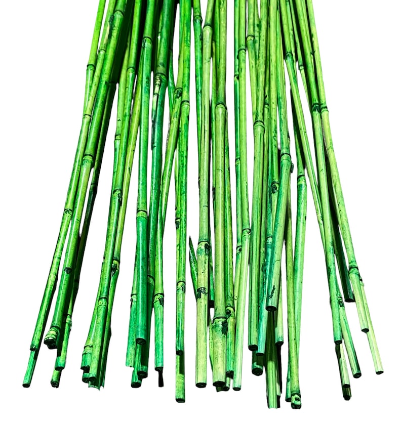 Colorful THIN Bamboo Poles (pack of 20) - 0.25" (inches) WIDE - 5 Feet ...