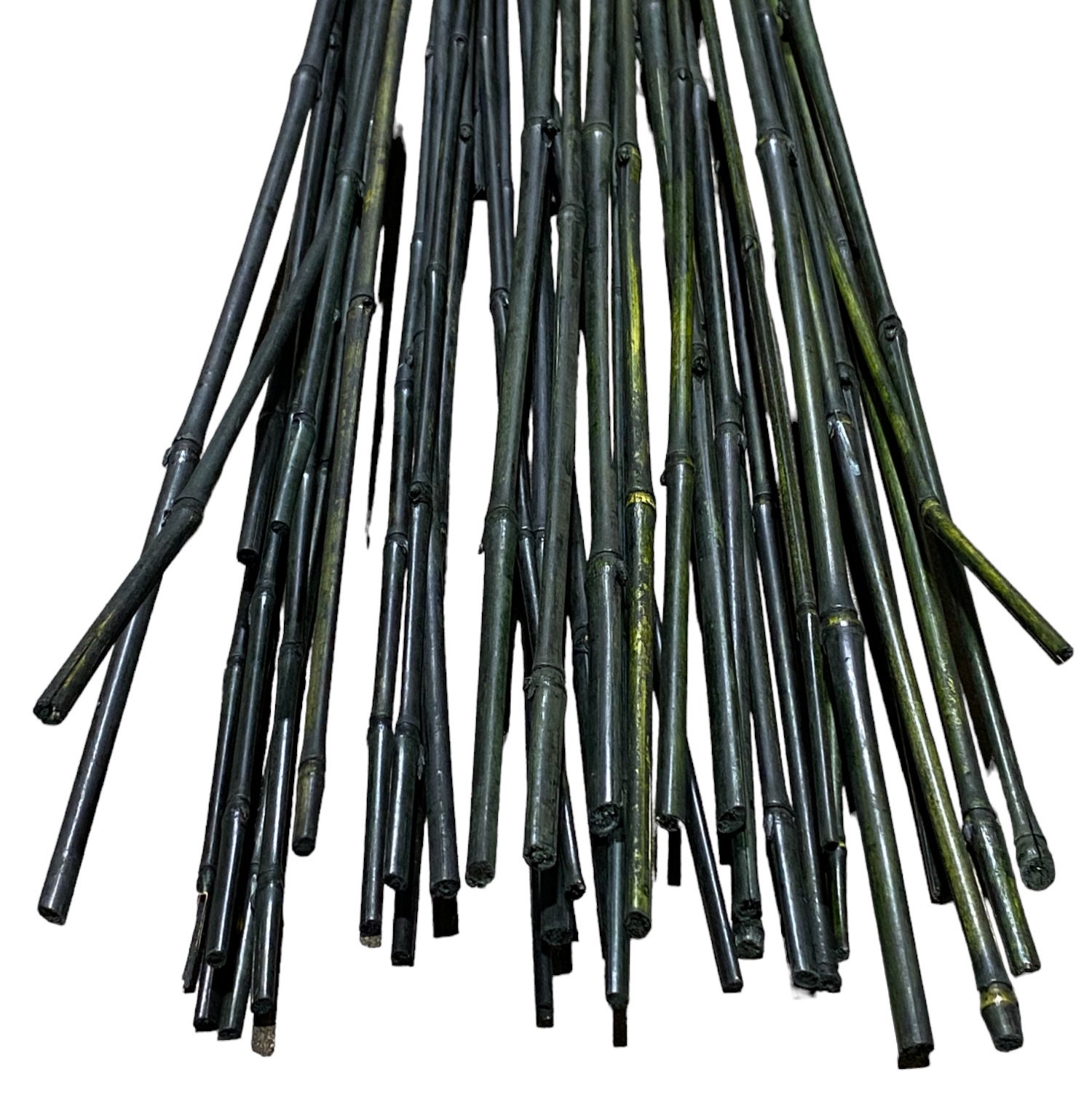 Colorful THIN Bamboo Poles (pack of 20) - 0.25" (inches) WIDE - 5 Feet ...