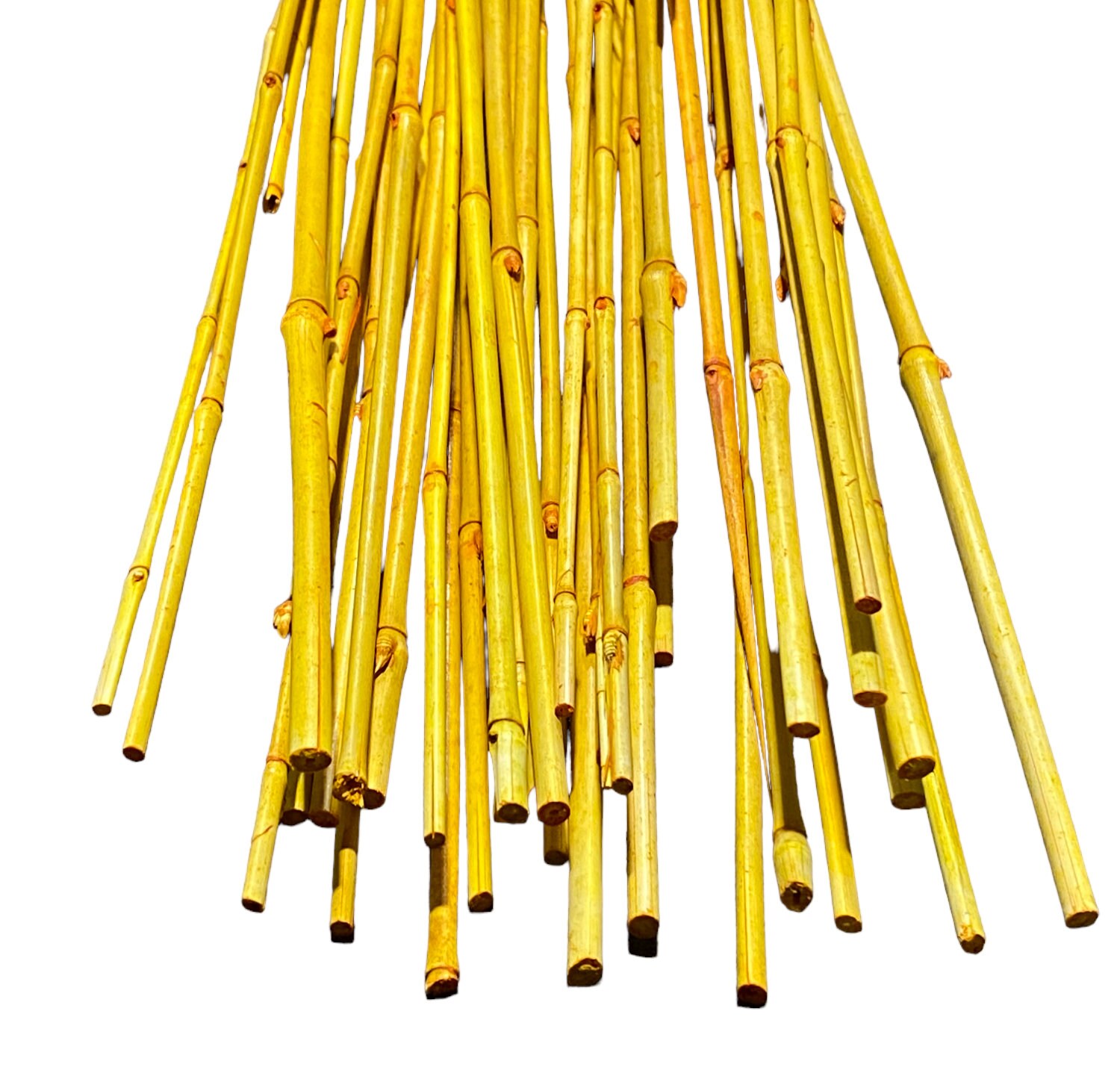 Colorful THIN Bamboo Poles (pack of 20) - 0.25" (inches) WIDE - 5 Feet ...