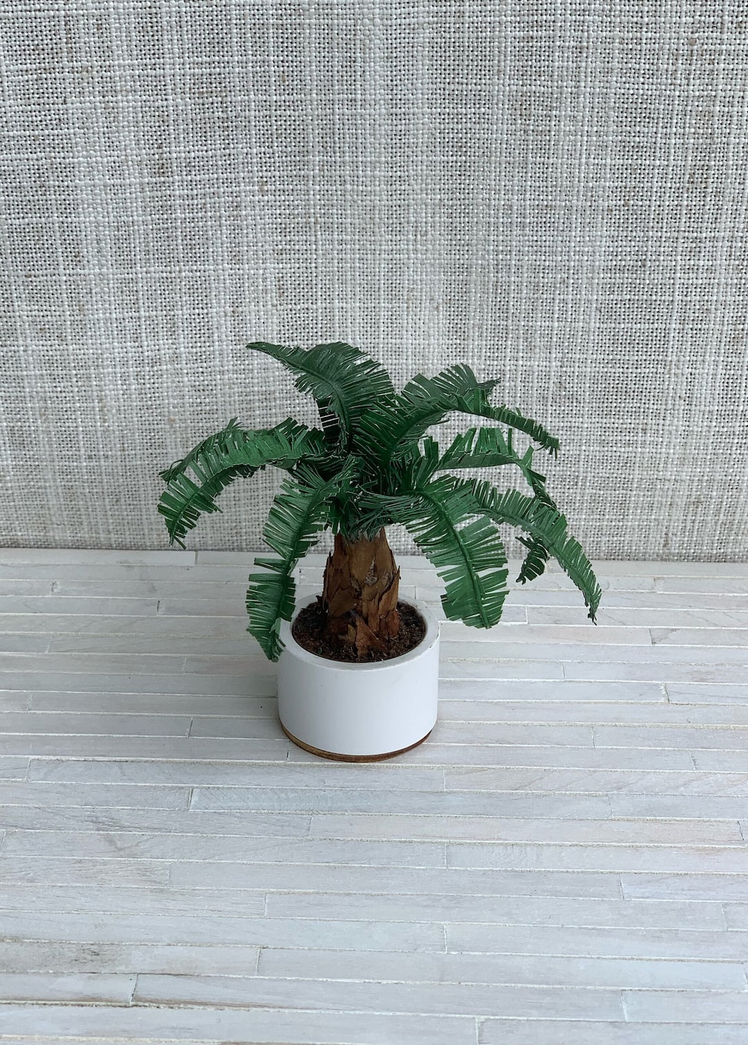 Sago Palm 1/12 Scale Modern Miniature House Plant - Etsy