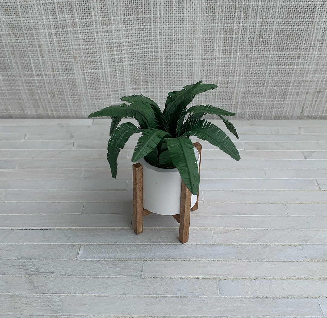 Boston Fern 1/12 Scale Mid-century Modern Miniature House Plant - Etsy