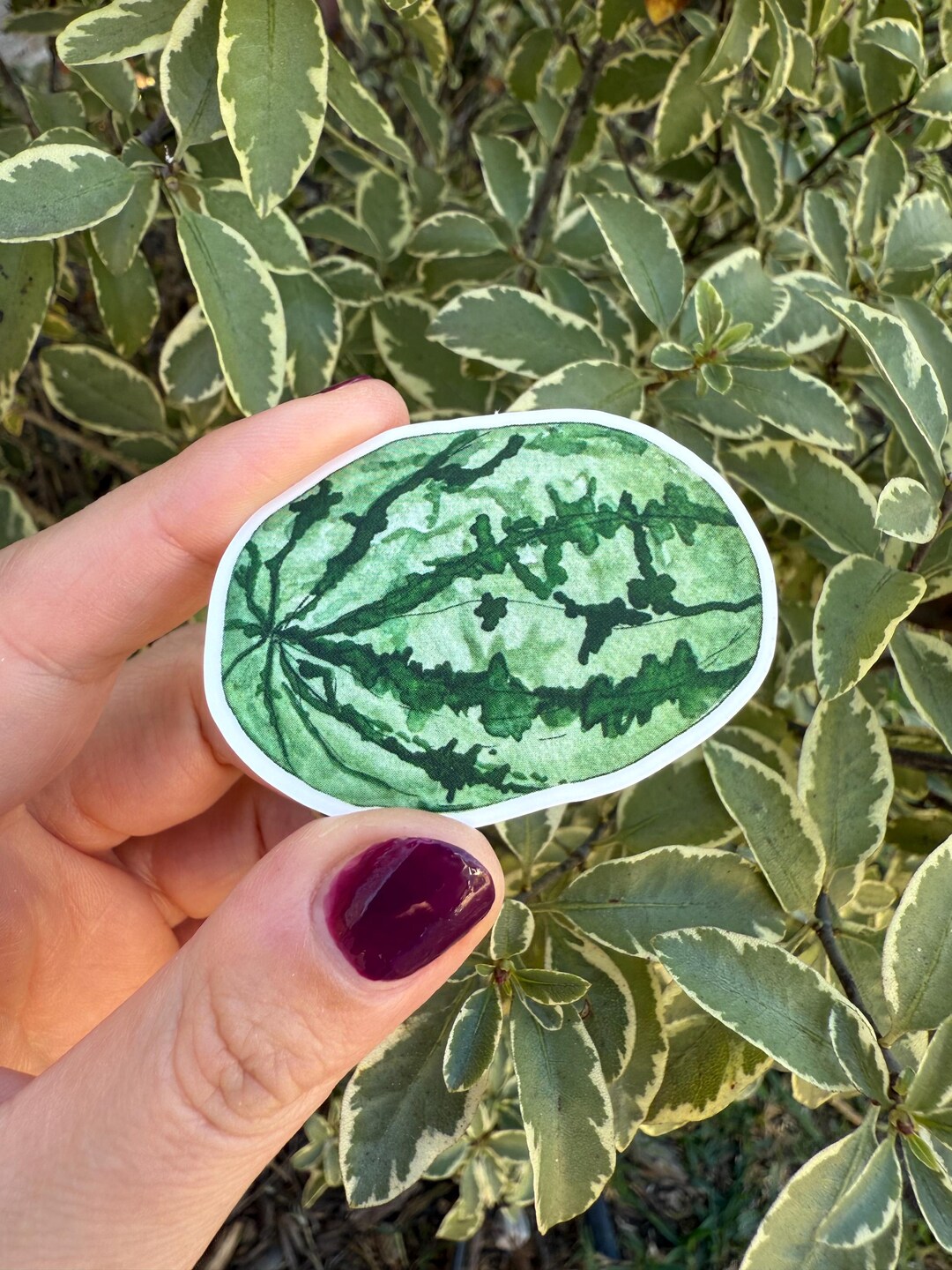 Watermelon Sticker, Hand Painted Watercolor Fruit Sticker, Matte Vinyl ...