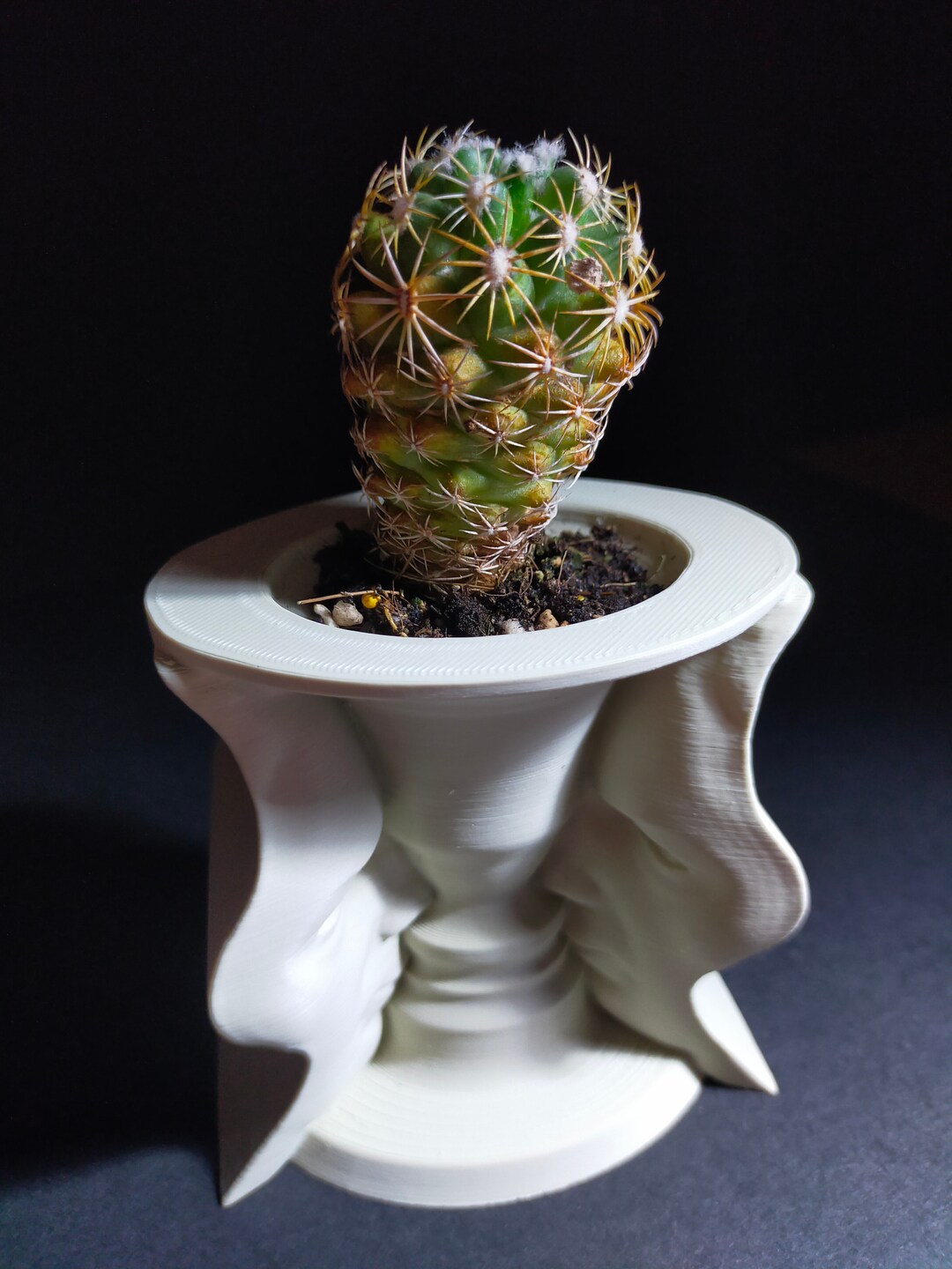 Rubin's Vase Optical Illusions Home Decore Christmas23 Present Degree ...