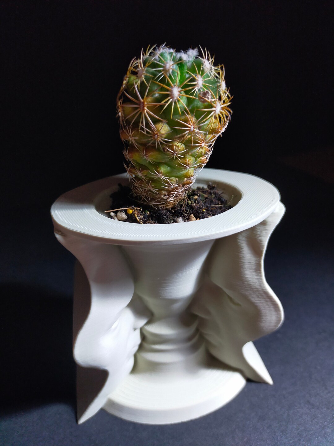Rubin's Vase Optical Illusions Home Decore Christmas23 Present Degree ...