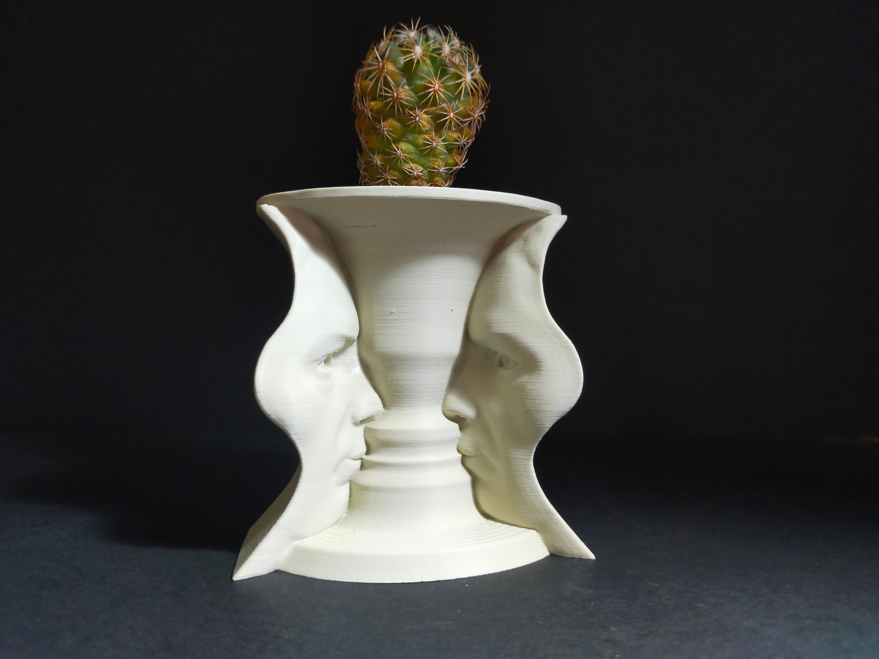 Rubin's Vase Optical Illusions Home Decore Gift Graduate - Etsy