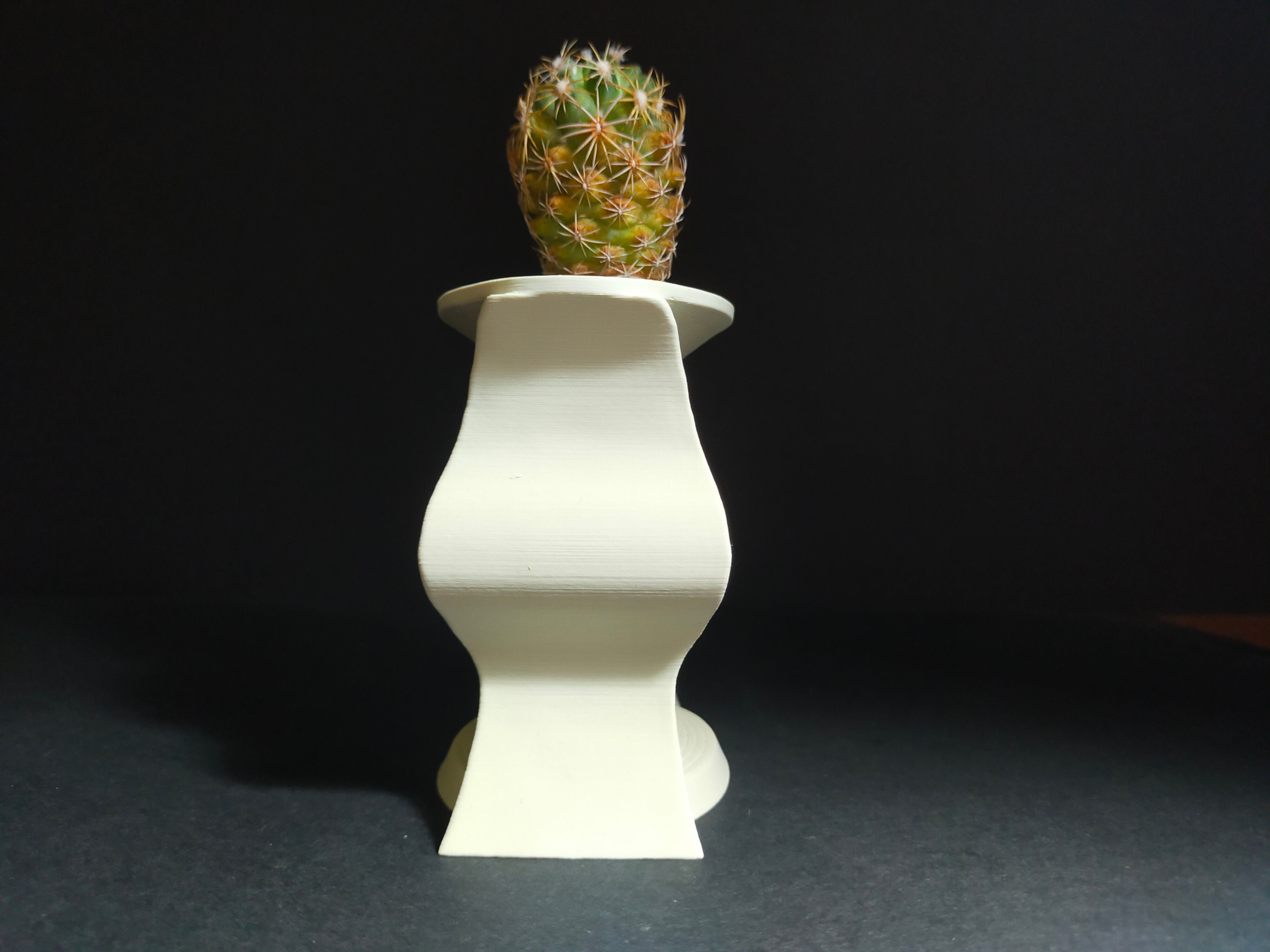 Rubin's Vase Optical Illusions Home Decore Gift Graduate - Etsy