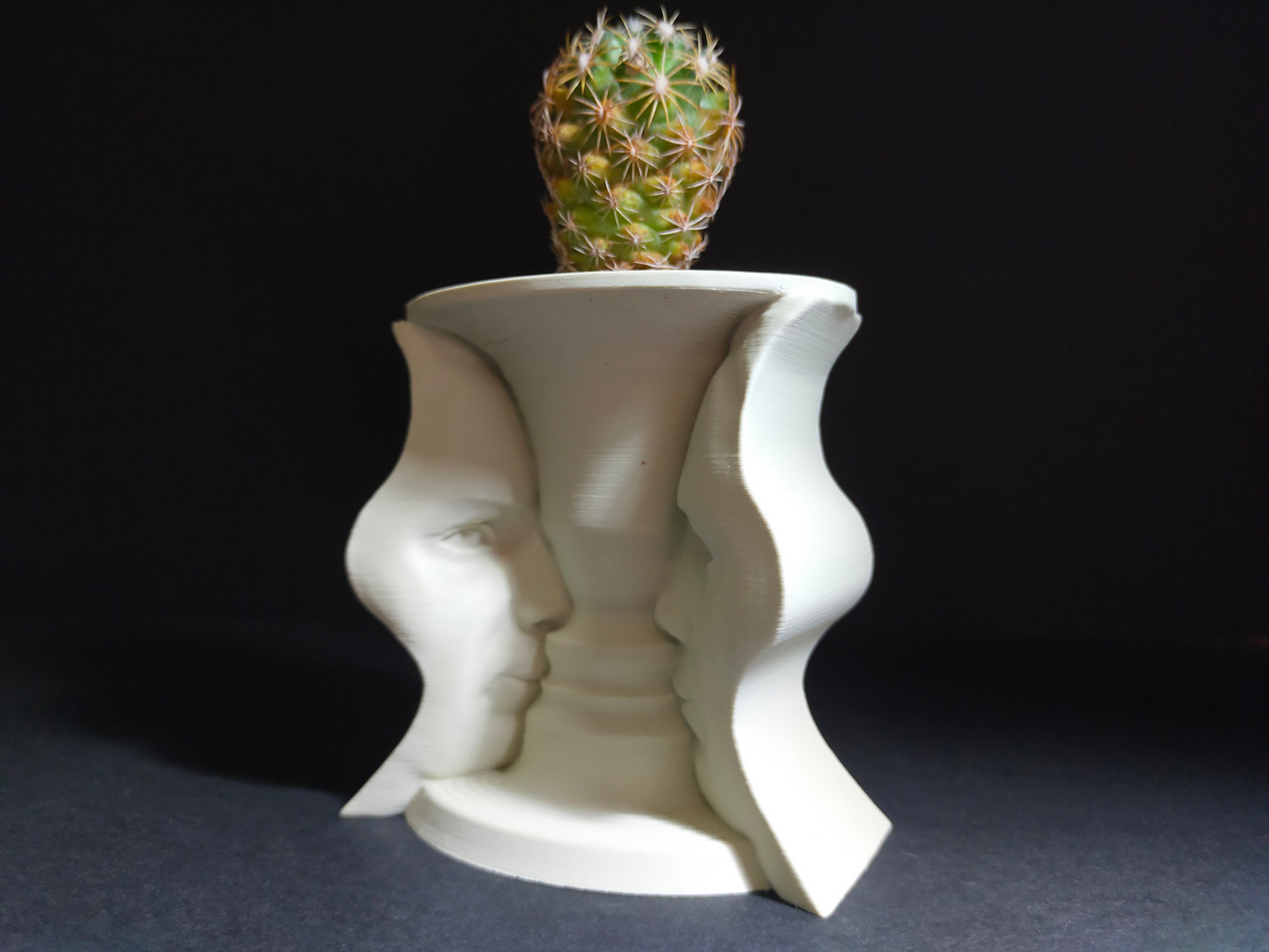 Rubin's Vase Optical Illusions Home Decore Gift Graduate - Etsy