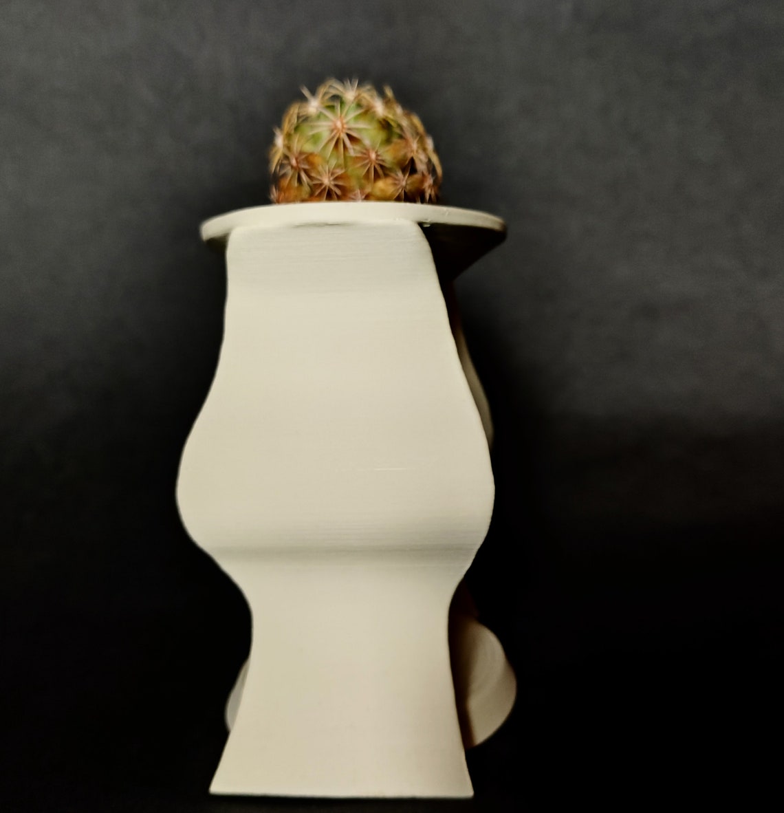 Rubin's Vase Optical Illusions Home Decore Christmas23 Present Degree ...