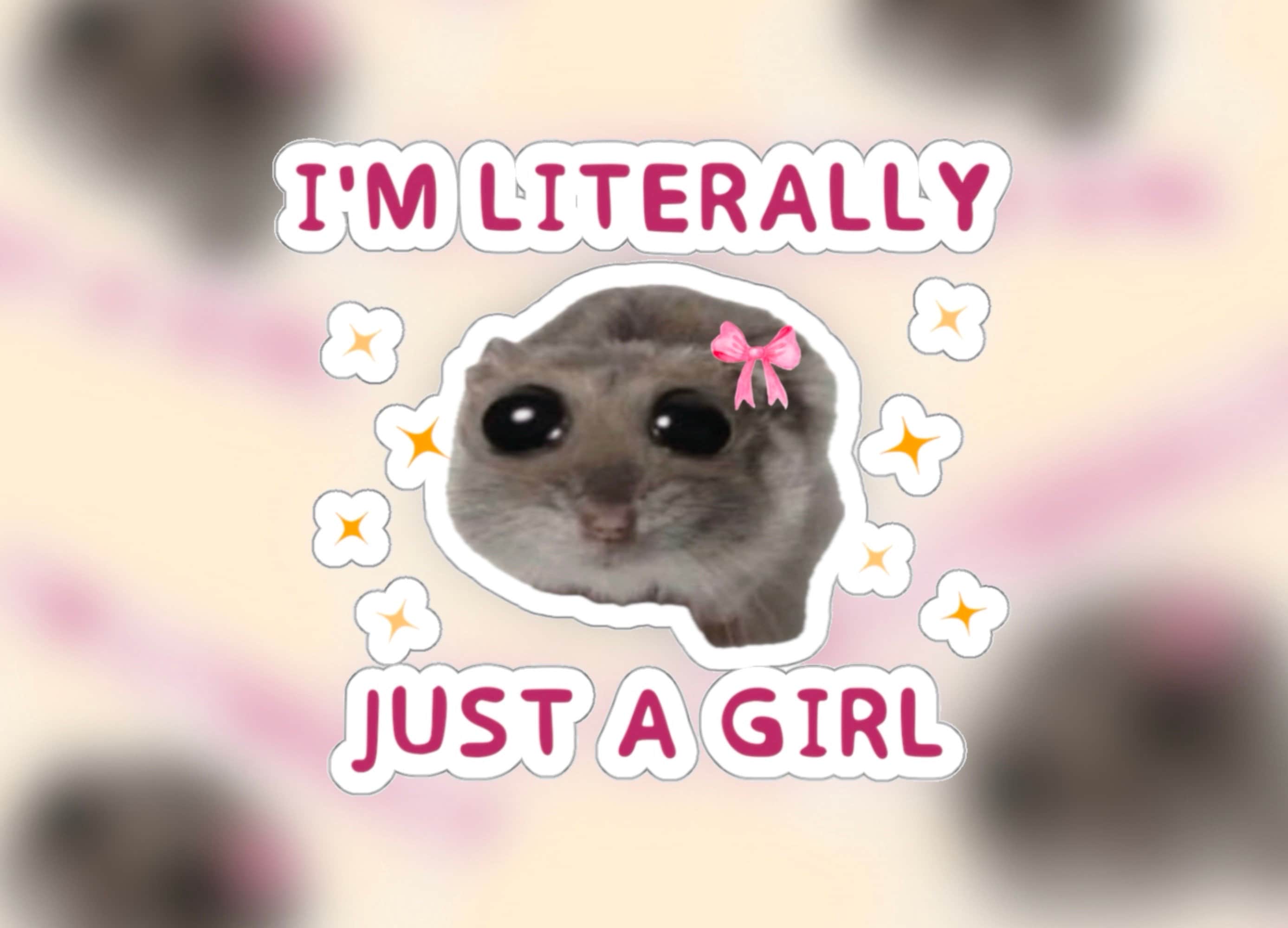 I'm Literally Just A Girl Sad Hamster Sticker, Sad Hamster Meme, Funny Meme, Transparent Sticker ...