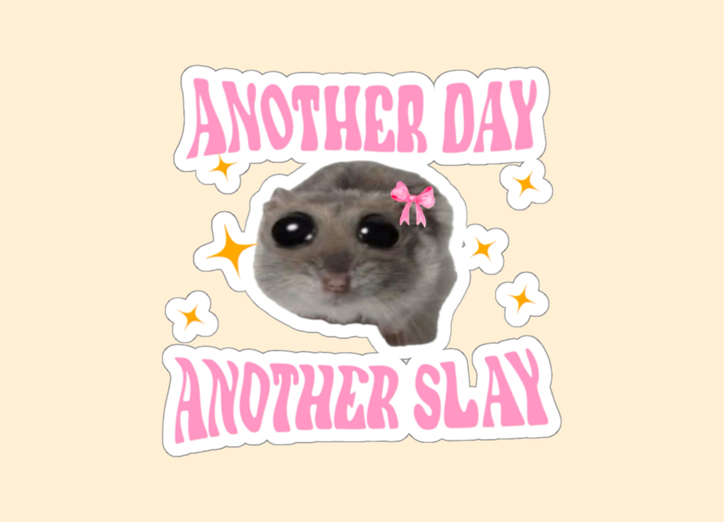 Another Day Another Slay Sticker, Sad Hamster, Funny Sticker, Funny Meme, Transparent Sticker - Etsy
