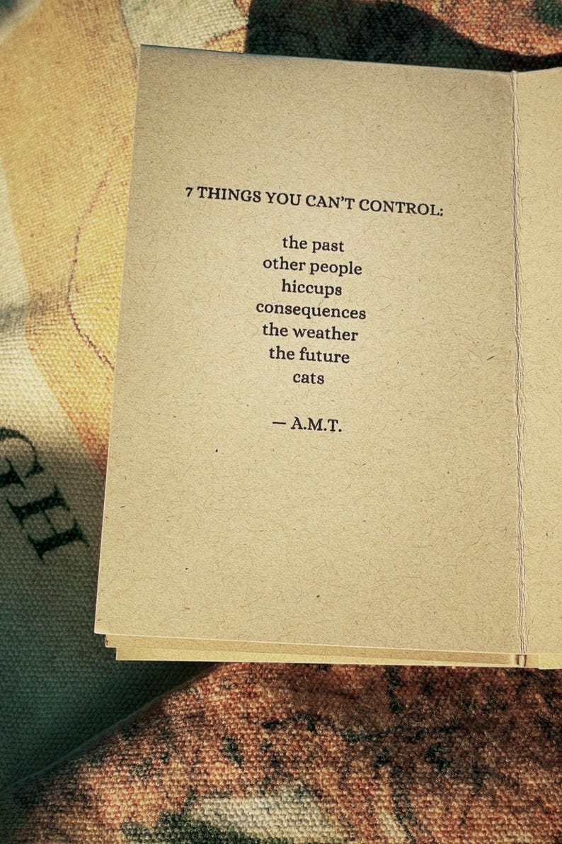 For the Happy, Healing, and Hurting by A.M.T — Zine + Art Bundle ...