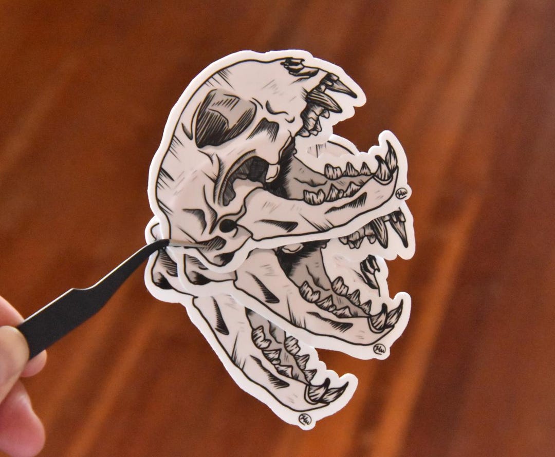Big Cat Skull Sticker - Etsy