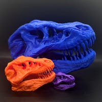 Large Spinosaurus Skull Replica: Handcrafted Fossil Scan, Hardwood Base ...