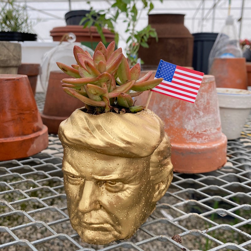 Donald Trump Charcuterie - Etsy