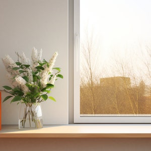 Clean Window Shelf Zoom Background | Professional Virtual Background ...