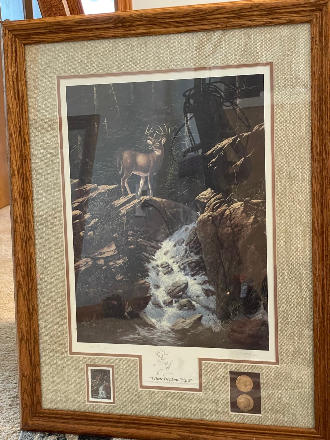 Where Freedom Reigns Earth Day Series- Buck - Etsy