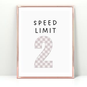 Two Fast Race Car Birthday Invitation Party Signs, Birthday Racing ...