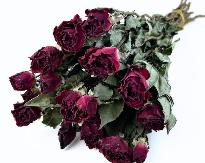 Dried Mini Roses / Bulk Dried Mini Roses / Perfect for Wedding Home ...
