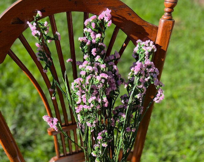 Pink Statice Bunch / Preserved Pink Statice / Pink Dried Flowers ...
