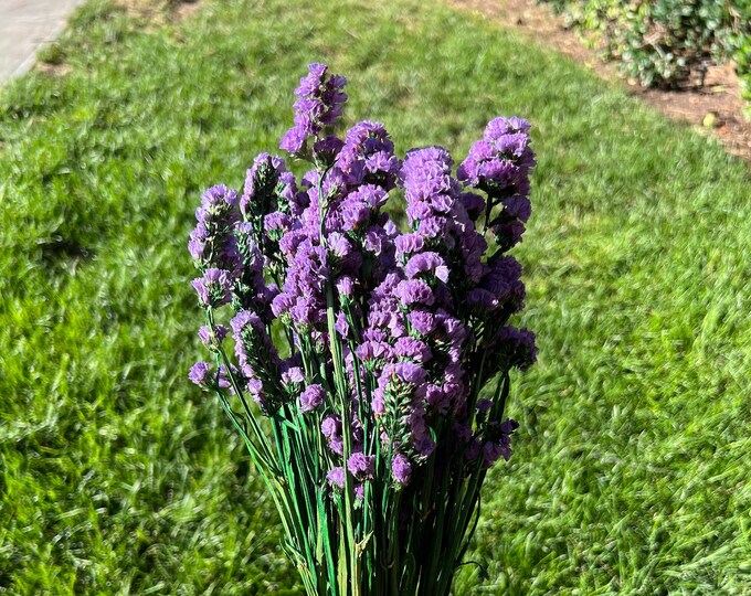 Purple Statice Bunch / Preserved Purple Statice / Purple Dried Flowers ...