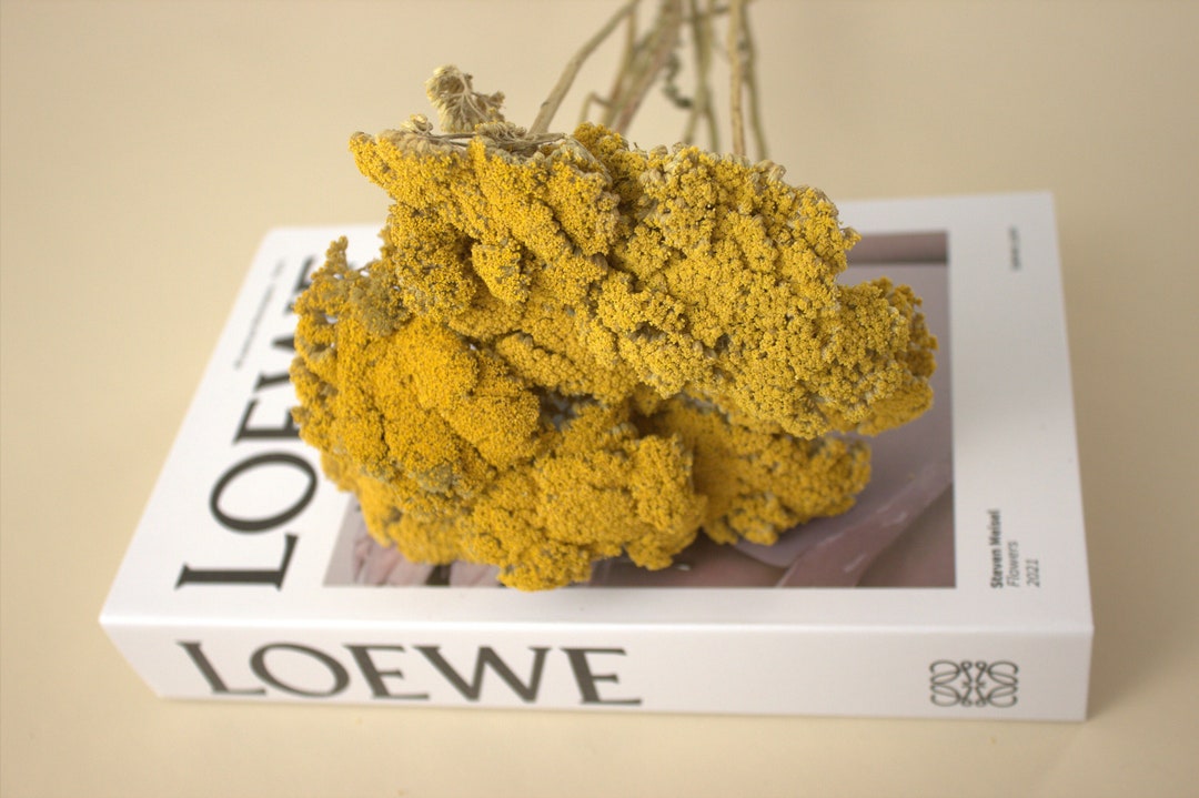 Yellow Yarrow Dried Flowers / Dried Yarrow Bunch / Home Decor Wedding ...