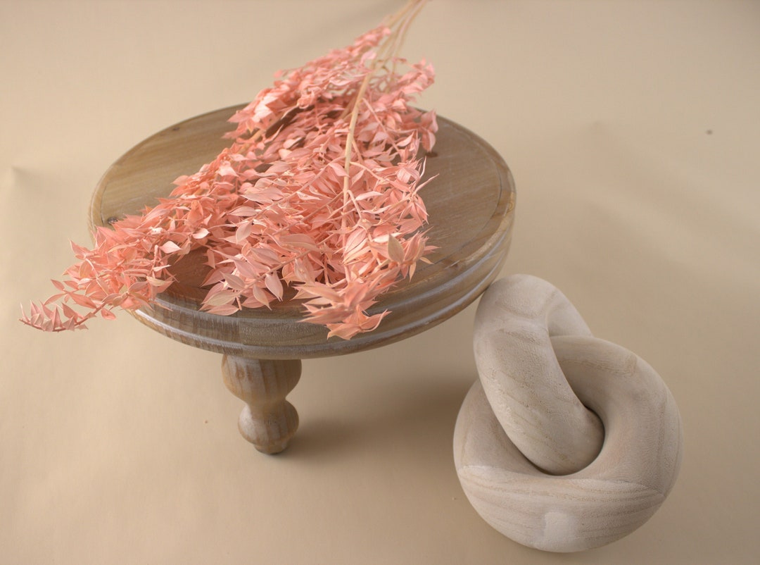 Light Pink Ruscus Leaves / Bleached Preserved Leaves / Perfect for ...