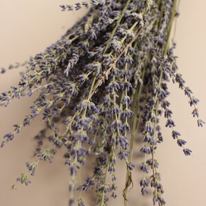 Dried Lavender Bouquets / Dried Lavender / Natural Arrangement ...