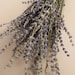 Dried Lavender Bouquets / Dried Lavender / Natural Arrangement ...
