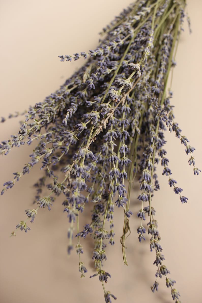 Dried Lavender Bouquets / Dried Lavender / Natural Arrangement ...