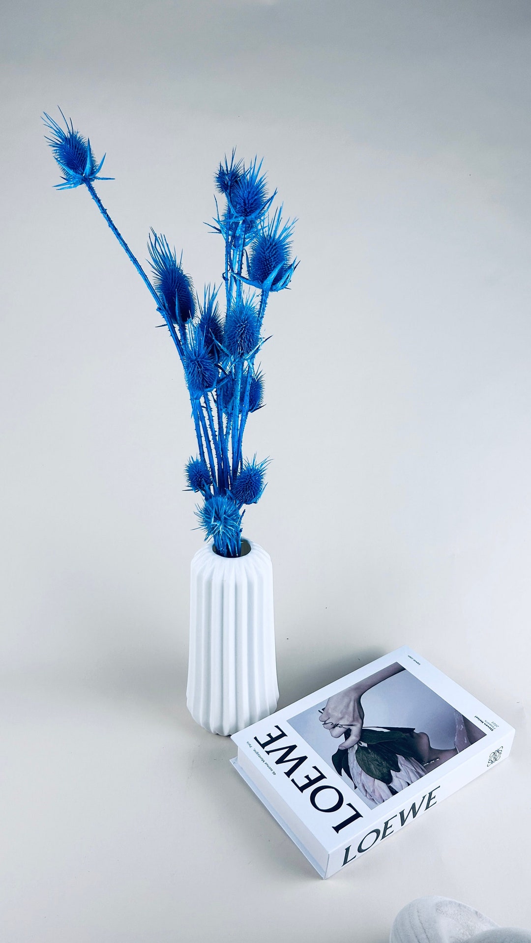 Preserved Thistle / Preserved Blue Thistle / Dried Thistle Flowers ...