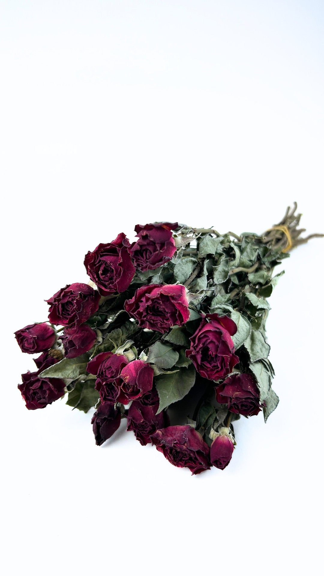 Dried Mini Roses / Bulk Dried Mini Roses / Perfect for Wedding Home ...