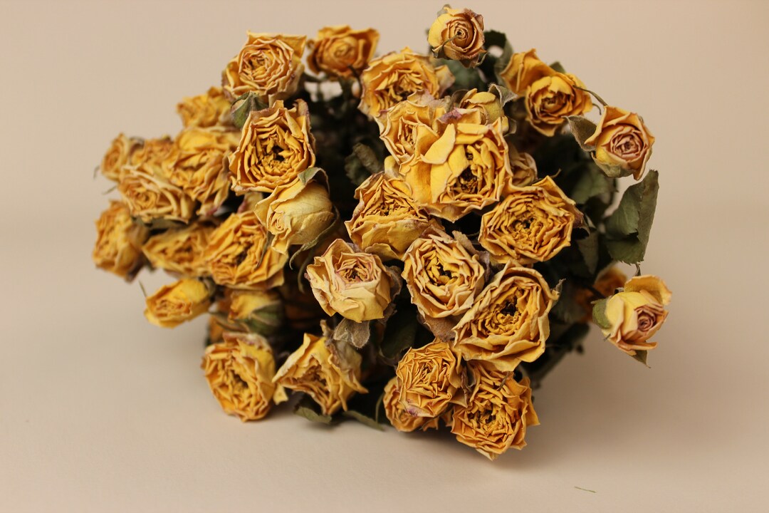 Yellow Preserved Mini Roses / Dried Mini Roses / Perfect for Wedding ...