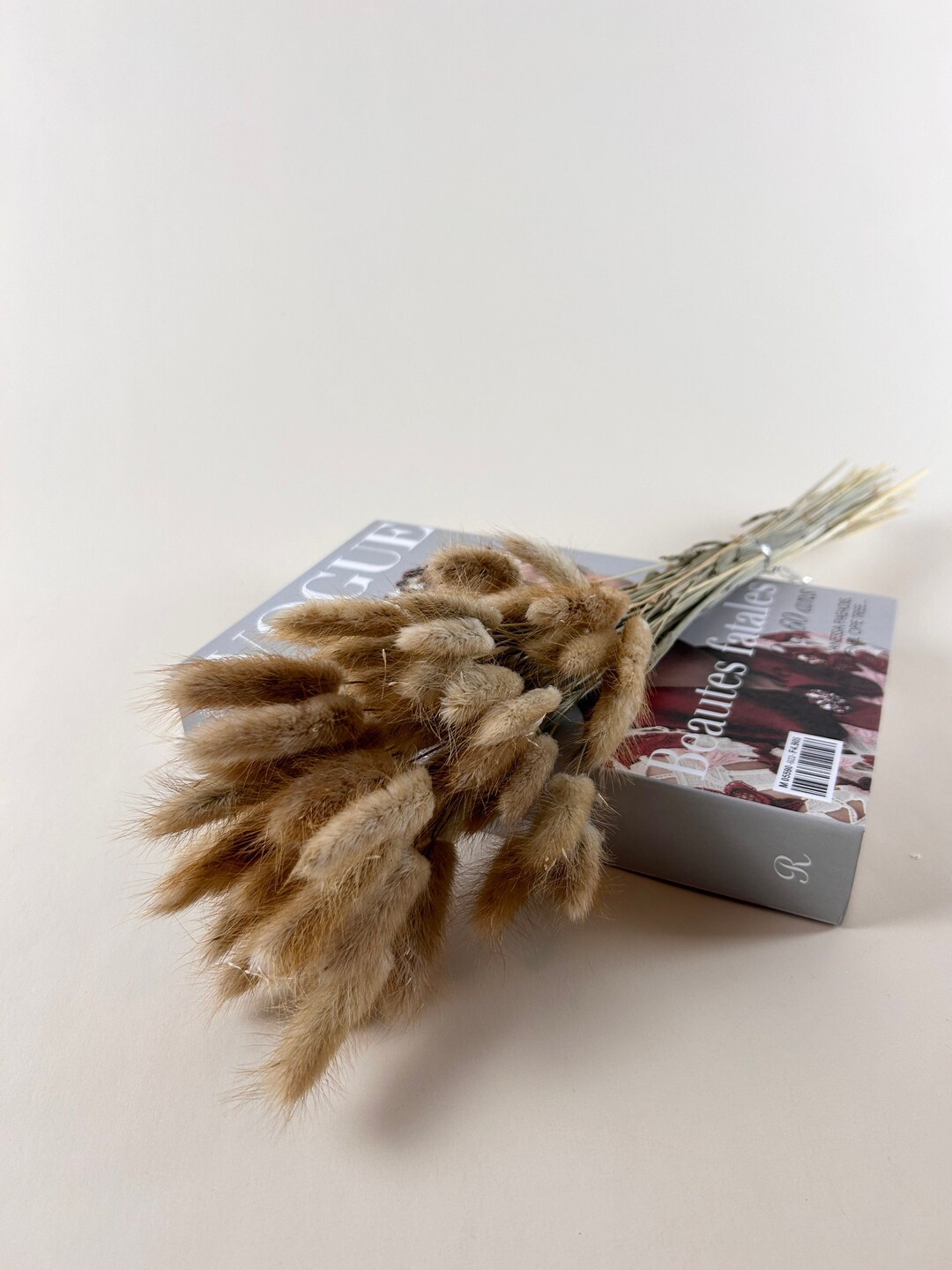 Natural Bunny Tail Dried Flowers / Dried Bunny Tail Grass / 55-60 ...