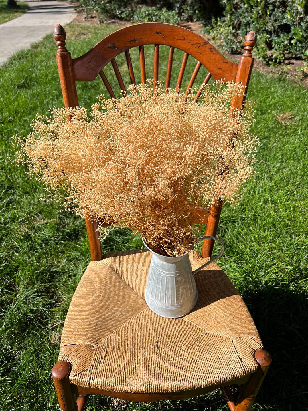 Natural Preserved Baby's Breath Bunch / Natural Preserved Gypsophilia ...