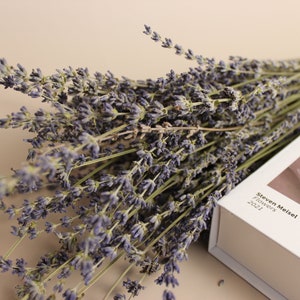 Dried Lavender Bouquets / Dried Lavender / Natural Arrangement ...