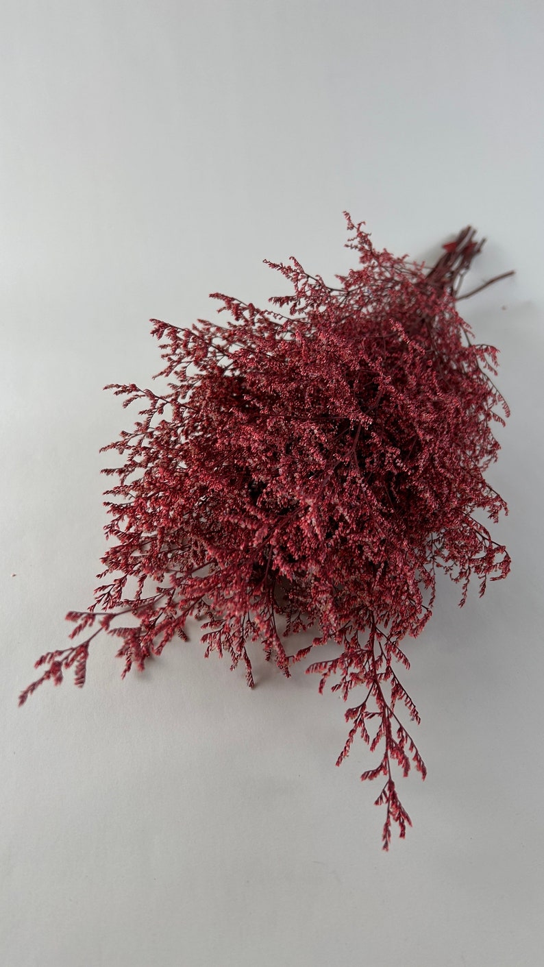 Natural Preserved Caspia / Dried Flowers / Red Dried Limonium / Perfect ...