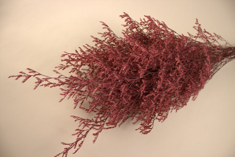 Natural Preserved Caspia / Dried Flowers / Red Dried Limonium / Perfect ...