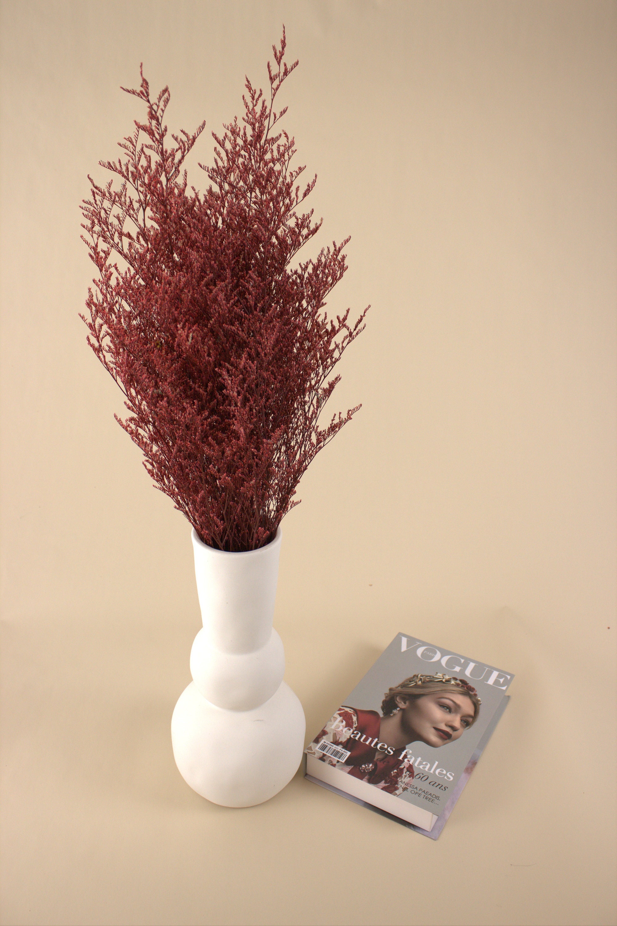 Natural Preserved Caspia / Dried Flowers / Red Dried Limonium / Perfect ...