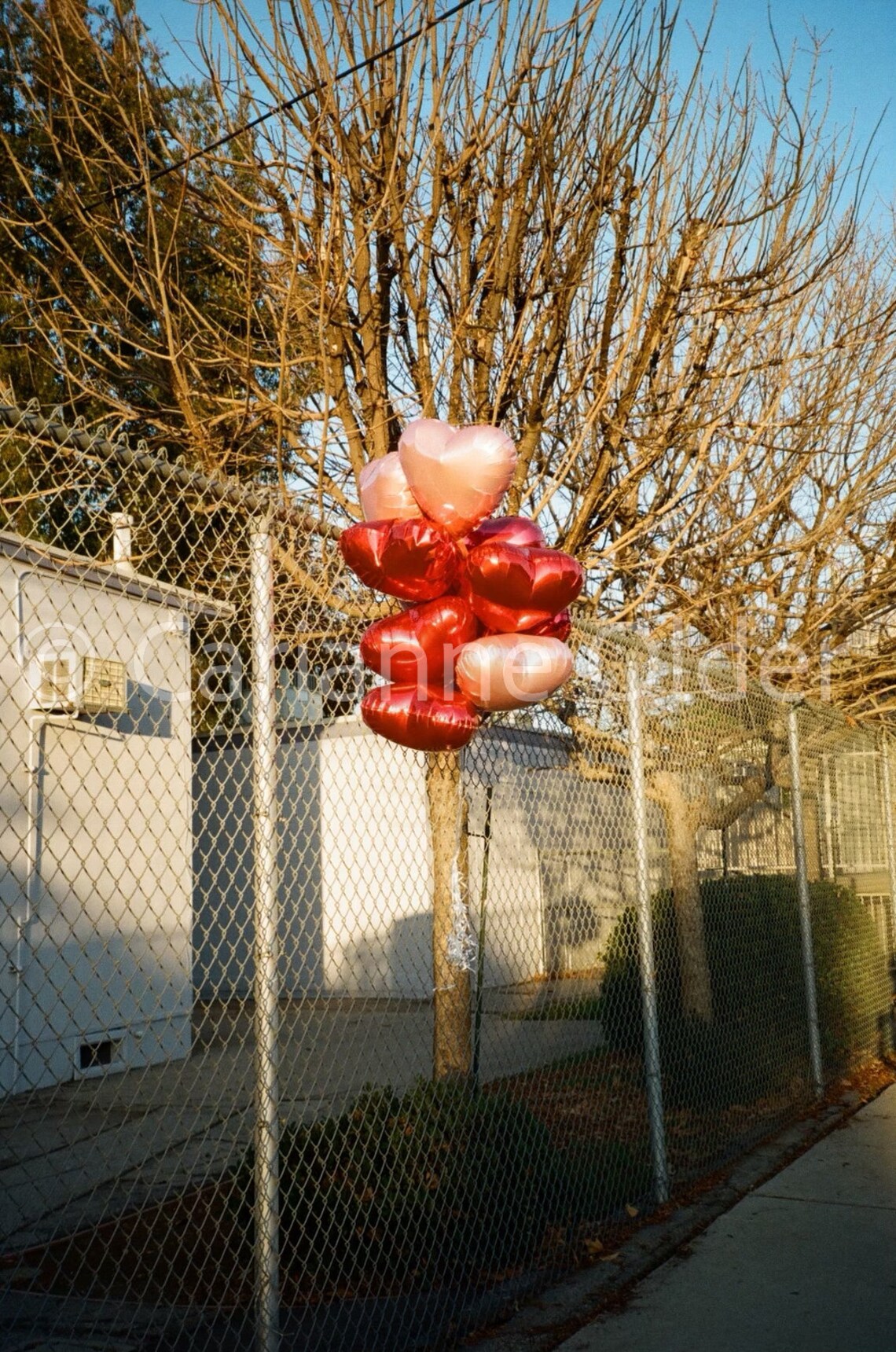 Heart Balloons Digital Download Print, Preppy Wall Art, Trendy Wall Art ...