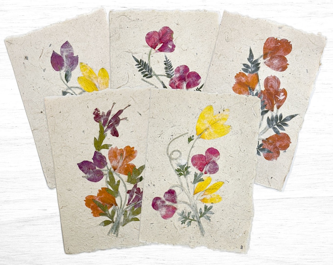 Pressed Flower Cards 6 Assorted, Printed Notecards Gift for Her 078 - Etsy