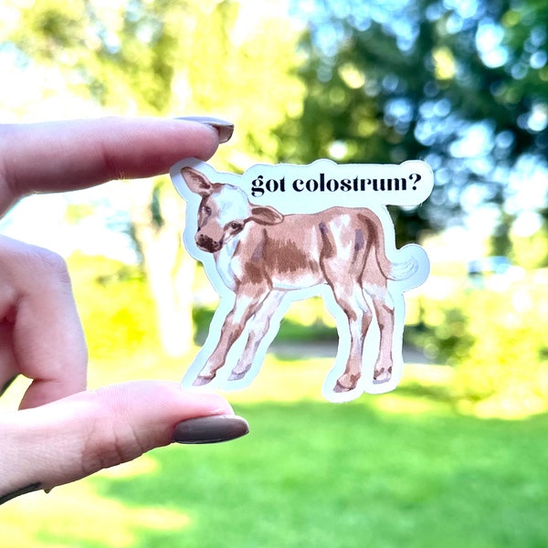 Large Animal Decals - Etsy