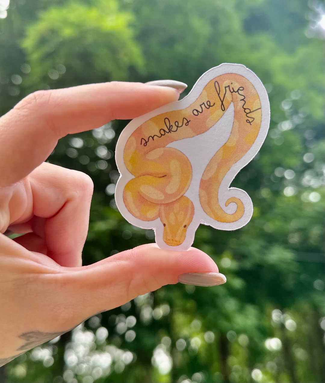 Sticker | Snakes Are Friends | Snake Sticker | Reptile Lovers | Vet ...