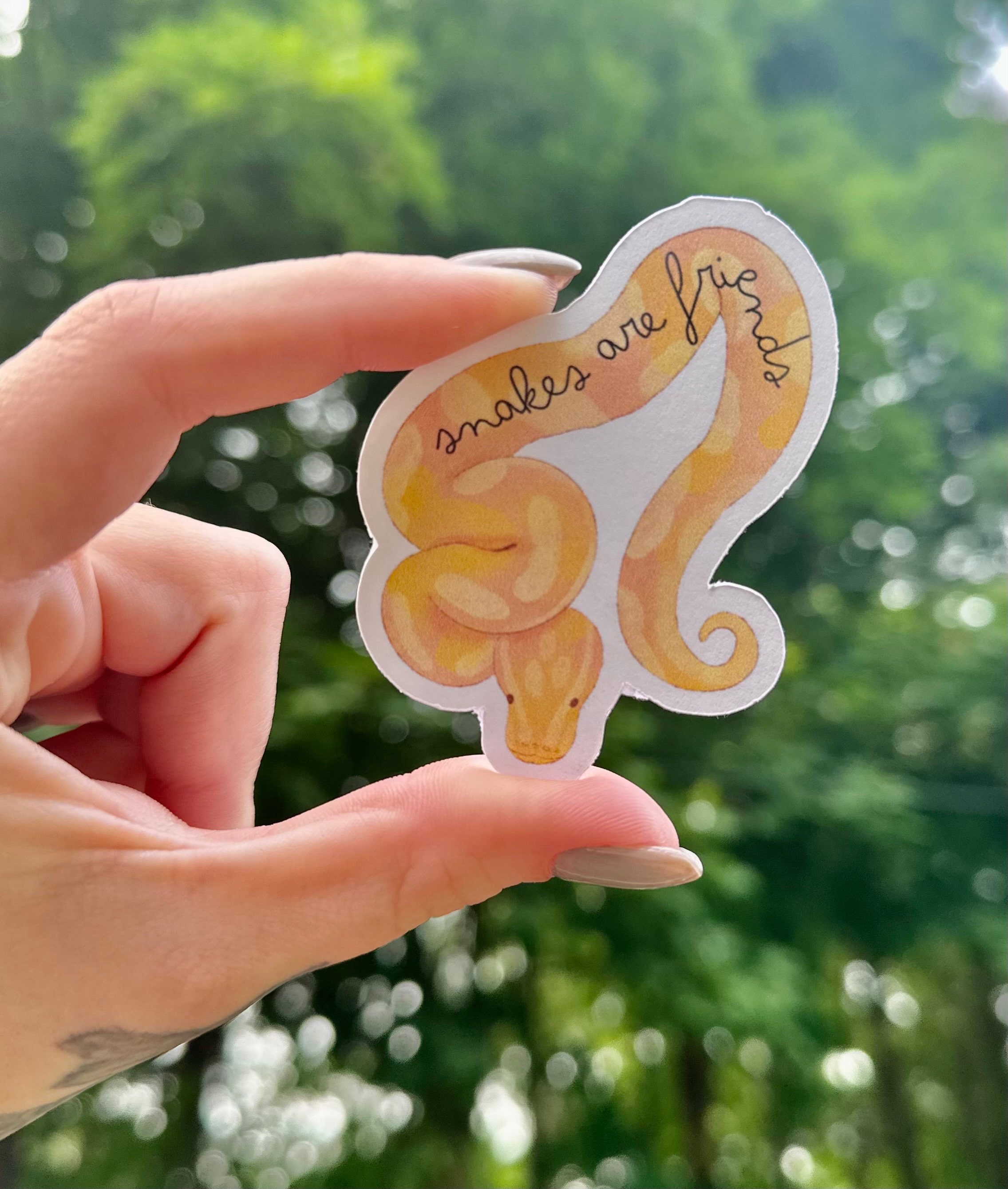 Sticker Snakes Are Friends Snake Sticker Reptile Lovers - Etsy