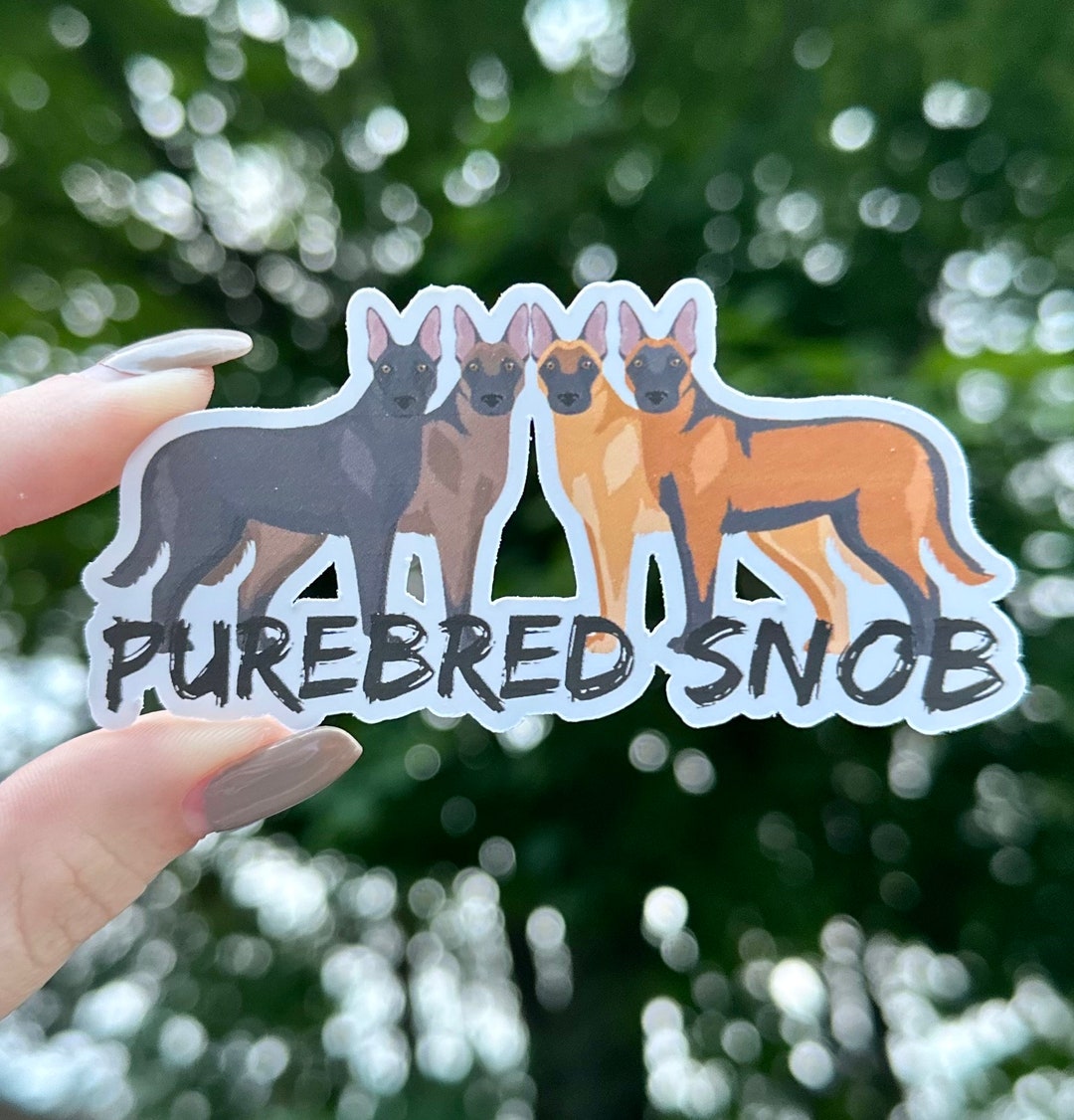 Purebred Snob Stickers Belgian Malinois Malinois Lovers Purebred Dogs ...