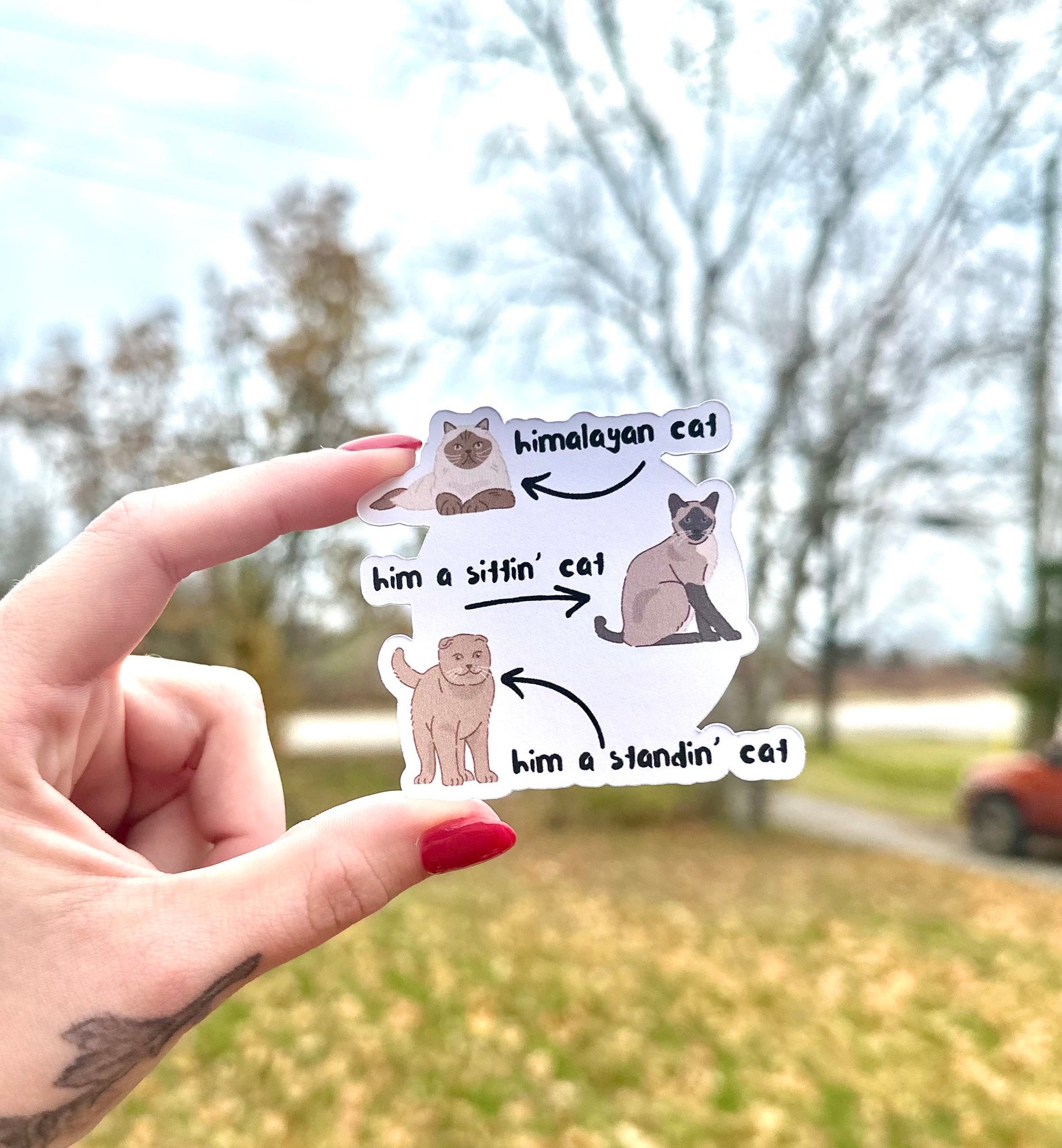 Sticker Himalayan Cat Cat Lovers Purebred Cats Funny Sticker Lovers Cat ...