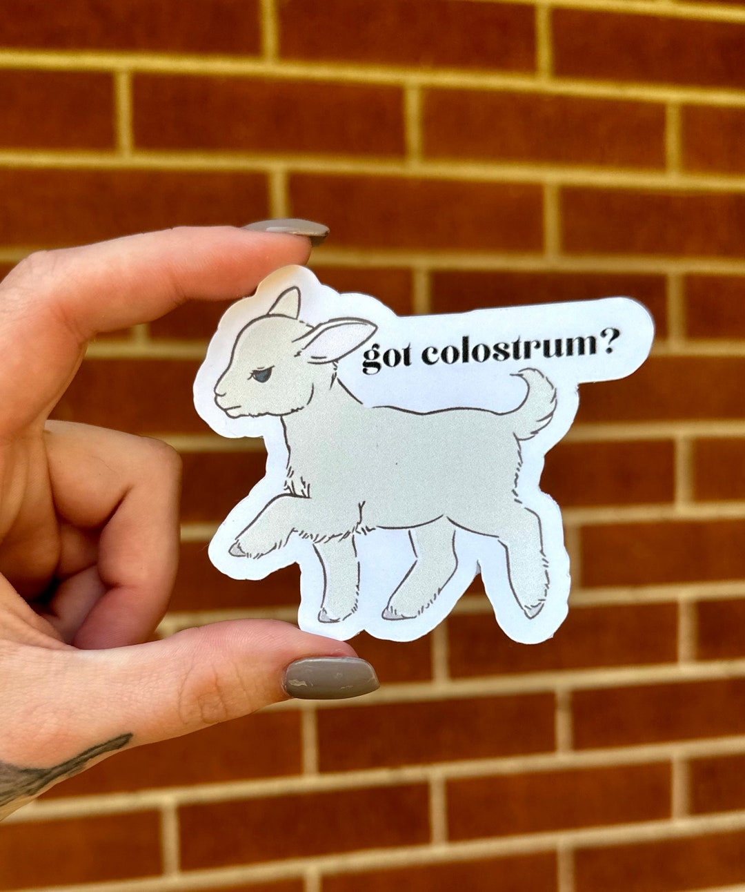 Vetmed Stickers Got Colostrum Kid Vet Tech Vet Assistant Vet Nurse ...