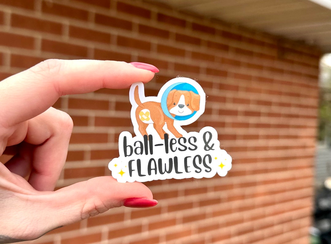 Vetmed Stickers | Ball-less and Flawless | Spay/neuter | Vet Tech | Vet ...
