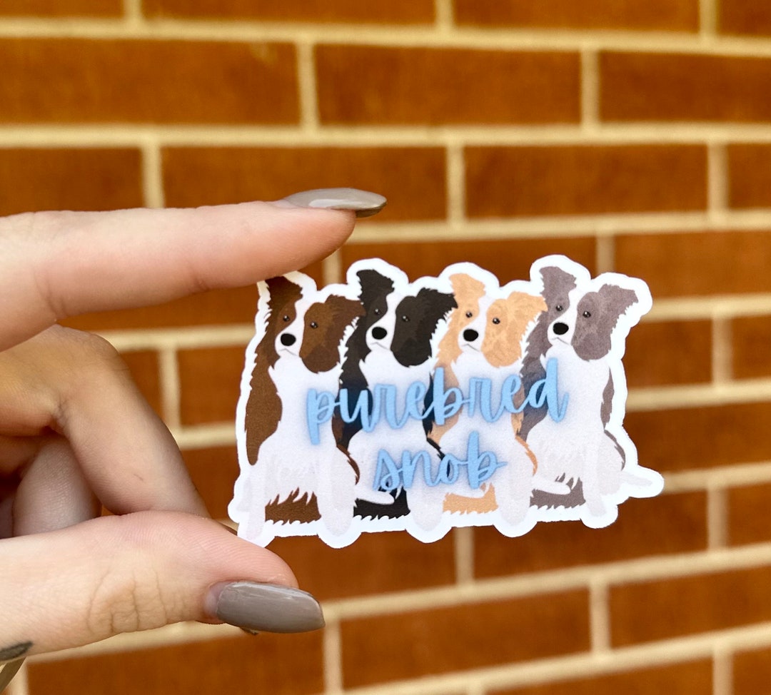 Purebred Snob Stickers | Border Collie | Border Collie Lovers ...