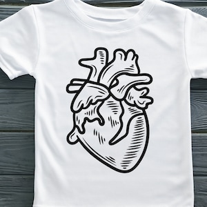 Anatomical Heart Svg Bundle, Human Heart Svg, Anatomical Heart, Medical ...