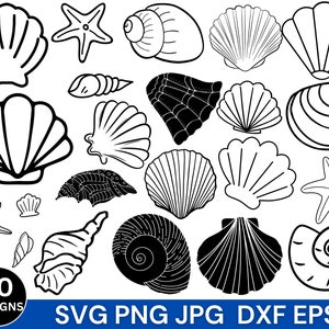 Seashell Svg Bundle, Seashell Png, Seashell Clipart, Seashells Svg ...
